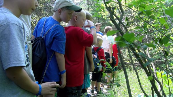 Camp Rokilio – Bay-Lakes Council